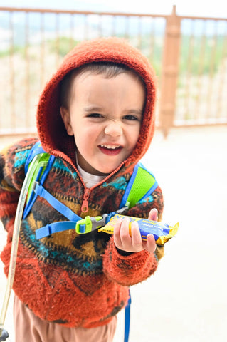 Honey Bunchie, LLC - Bon Bee Gourmet Honey Bar, Peanut Pecan (12 ct ...